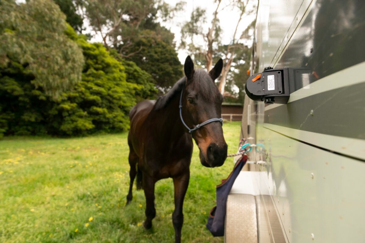 Myspy Fully wireless horse float camera + Safety Tie Twin Pack (2pcs) – MySpy